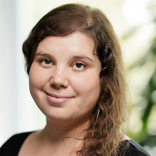 What the public thinks about AI and the implications for governance ...