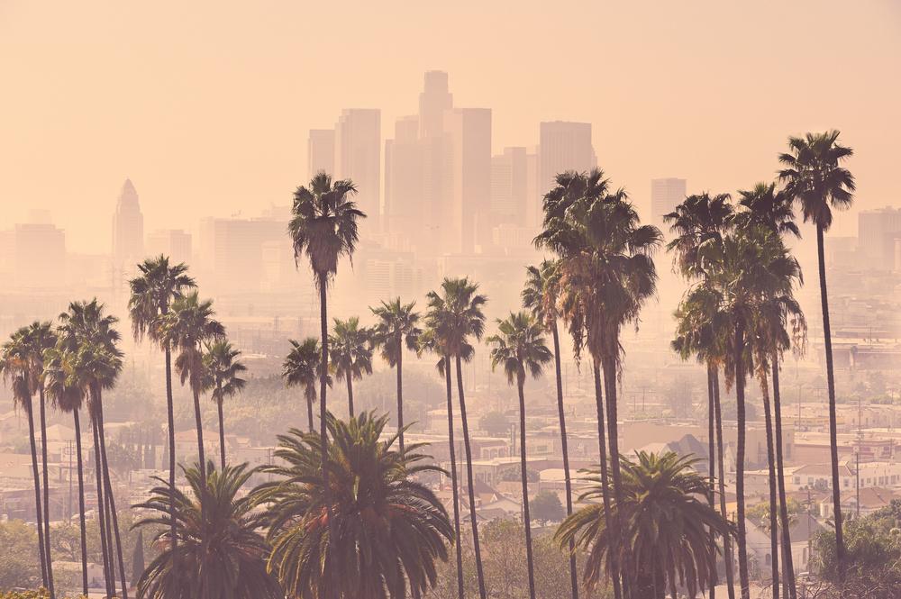 Measuring the impact of climate change on state and local governments ...