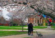 Is Free College A Good Idea Increasingly Evidence Says Yes Brookings Is Free College A Good Idea Increasingly Evidence Says Yes Brookings