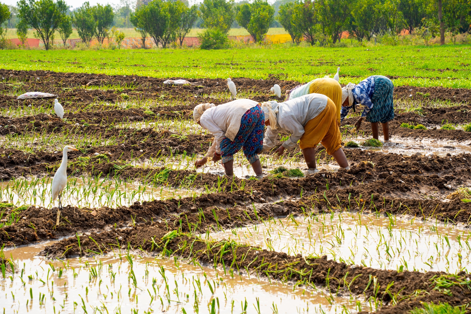 The European sustainability revolution | Brookings