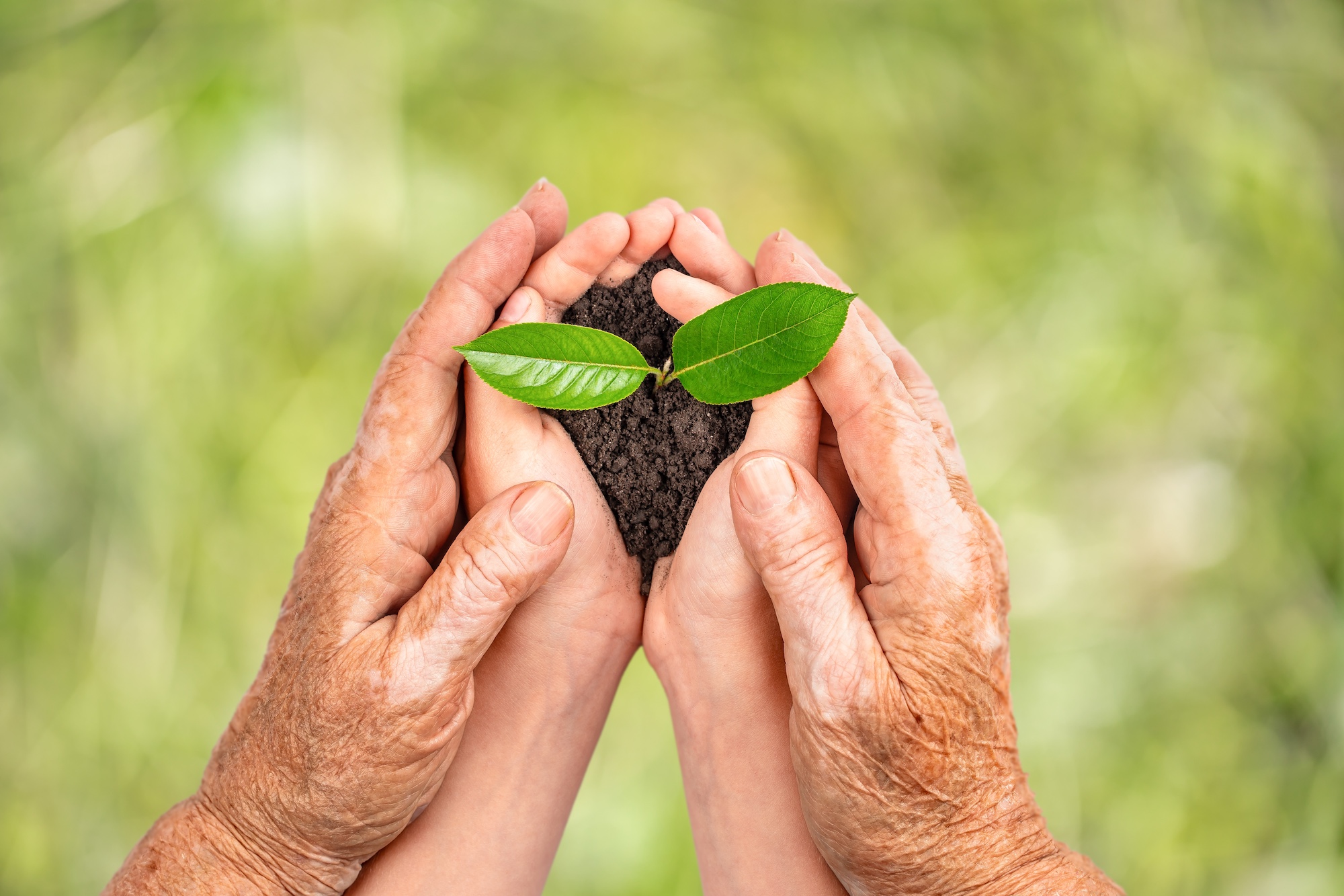 The Social Services Block Grant provides critical services to low ...